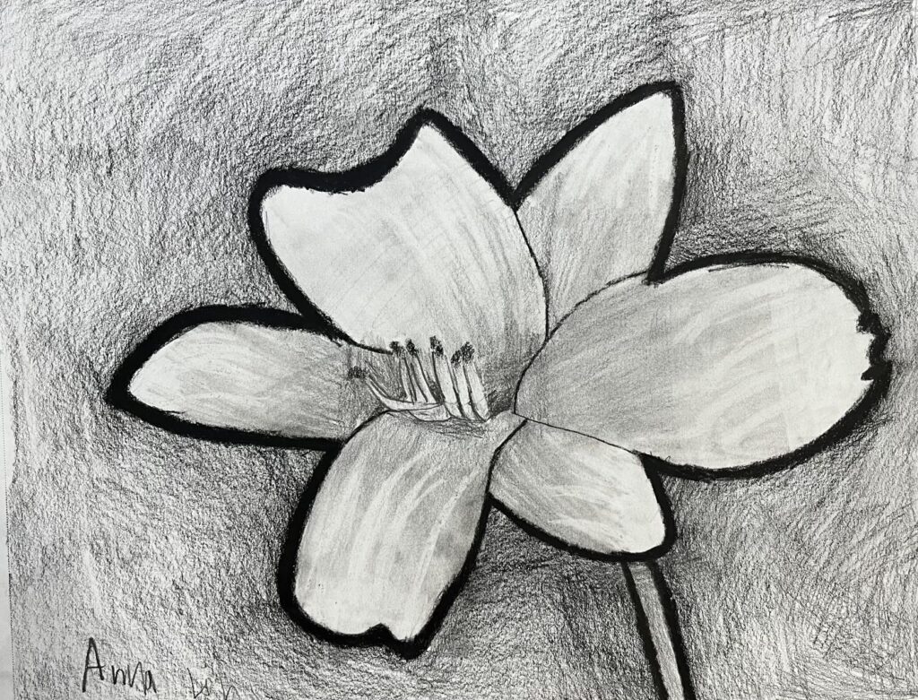 The beauty within – Young Artist Show 2023 – Lyme Art Association