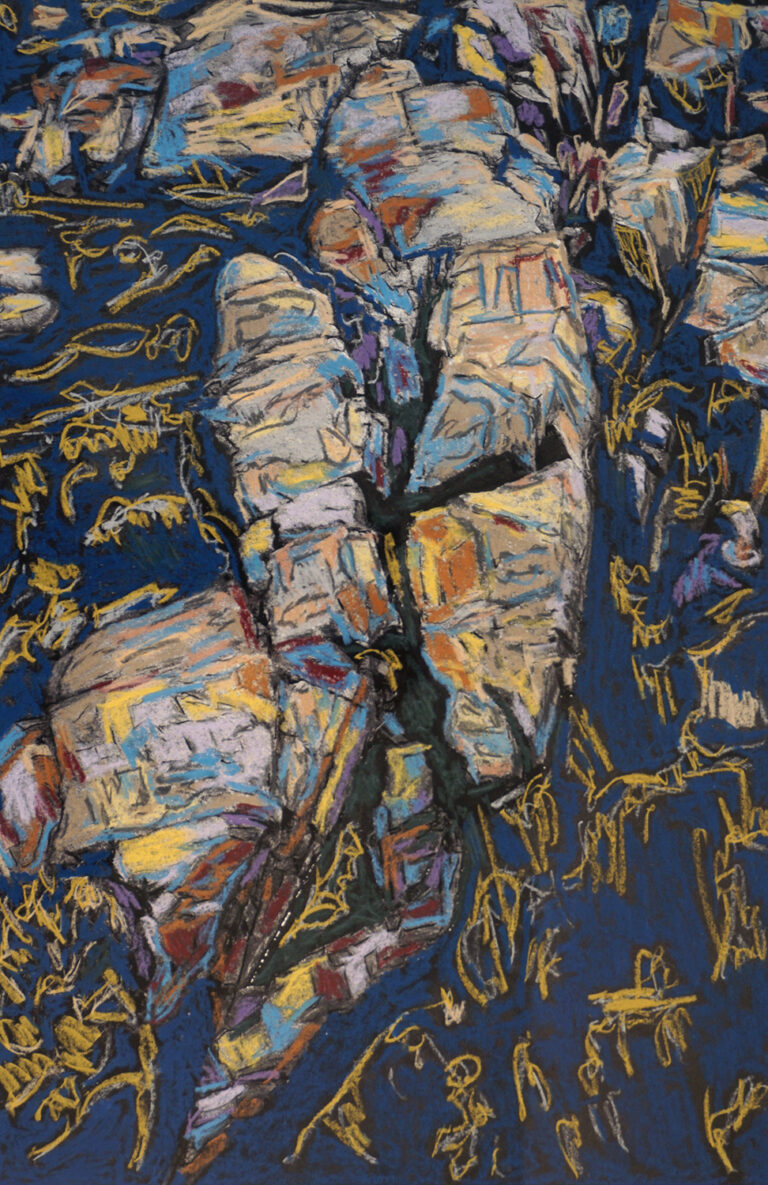 Expanding Visions Gallery 2024 – Lyme Art Association