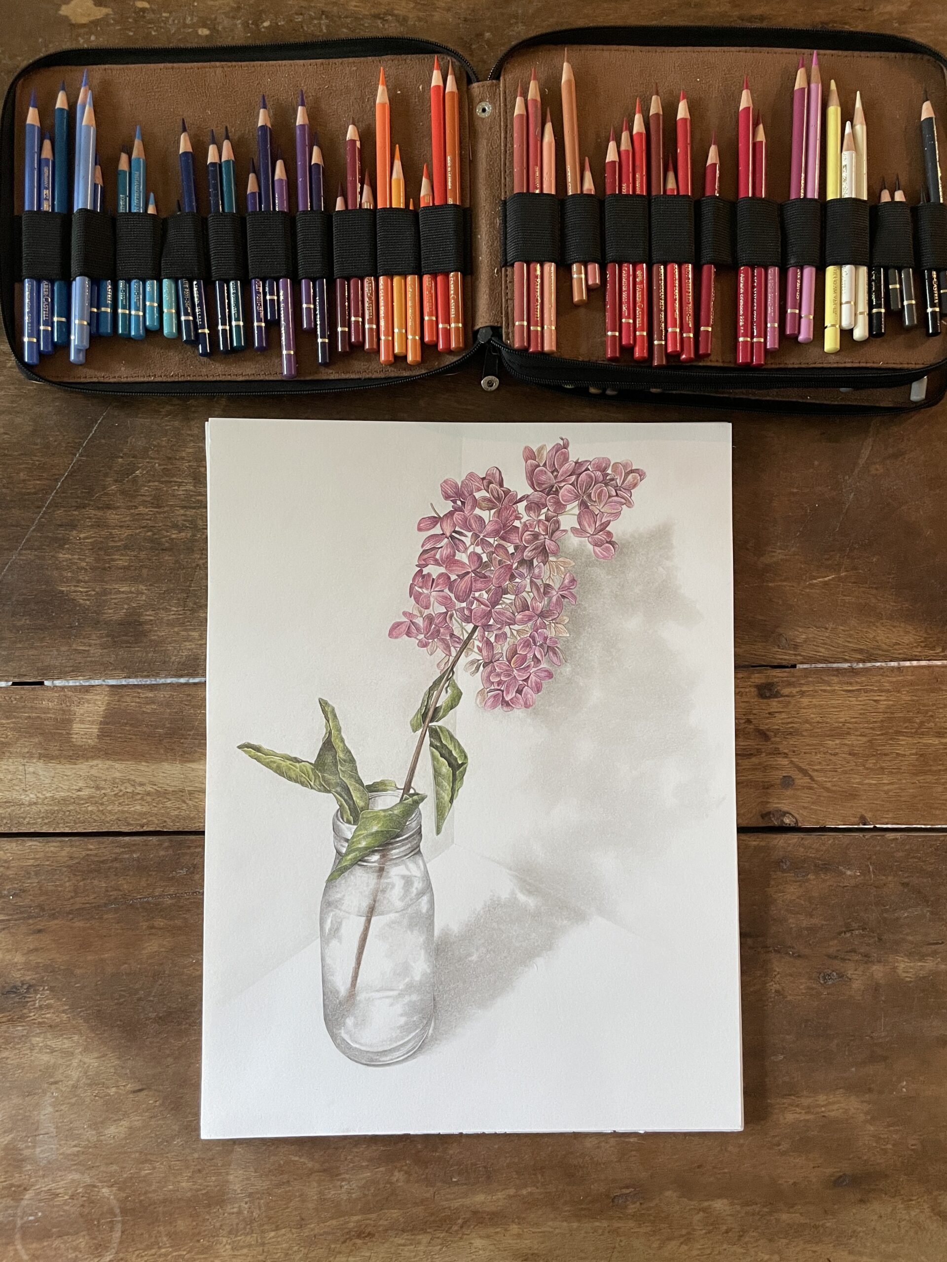 Class – Online Natural Science Illustration: Intro to Colored Pencil ...