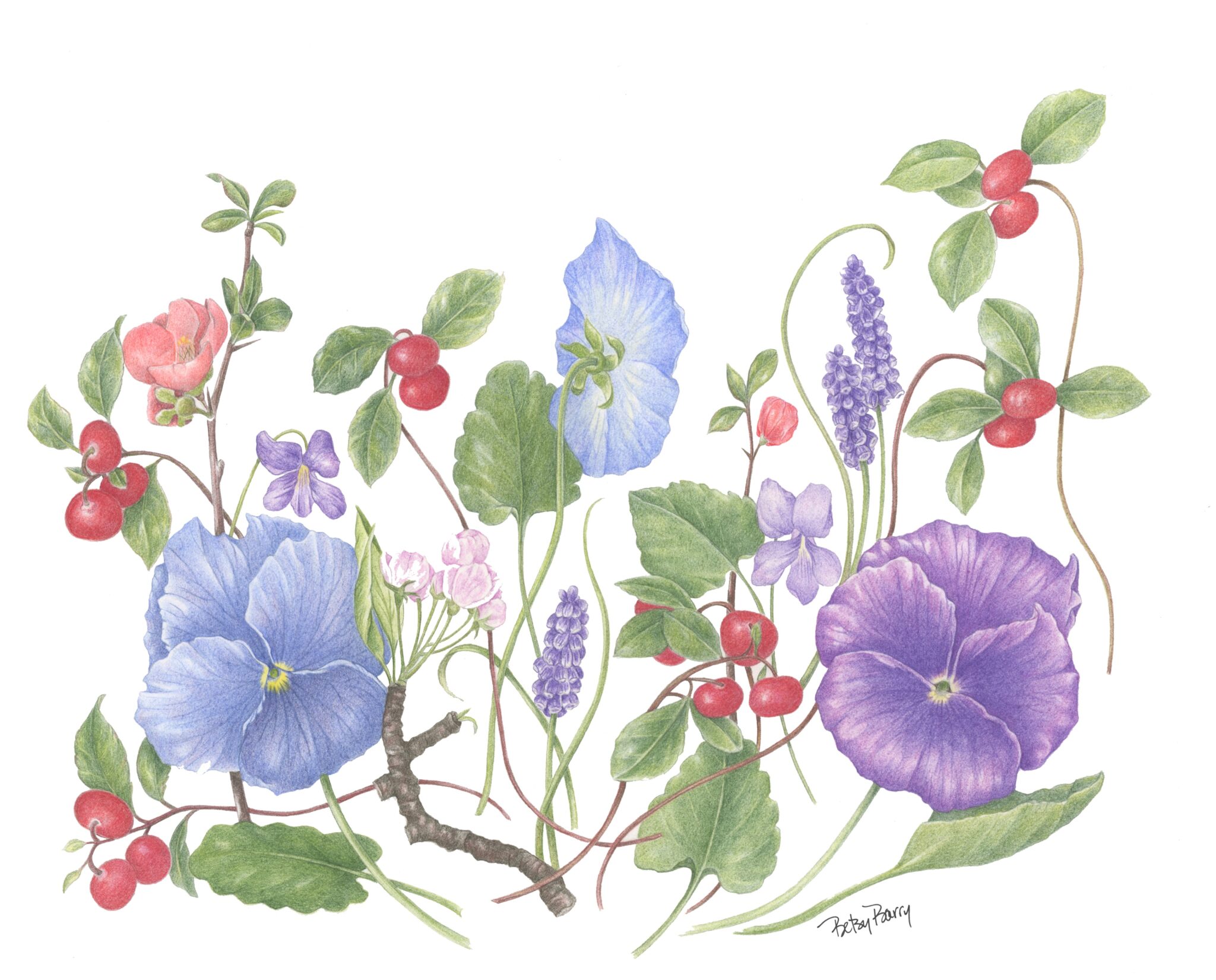 Class – Online – Drawing Spring Flowers – Lyme Art Association