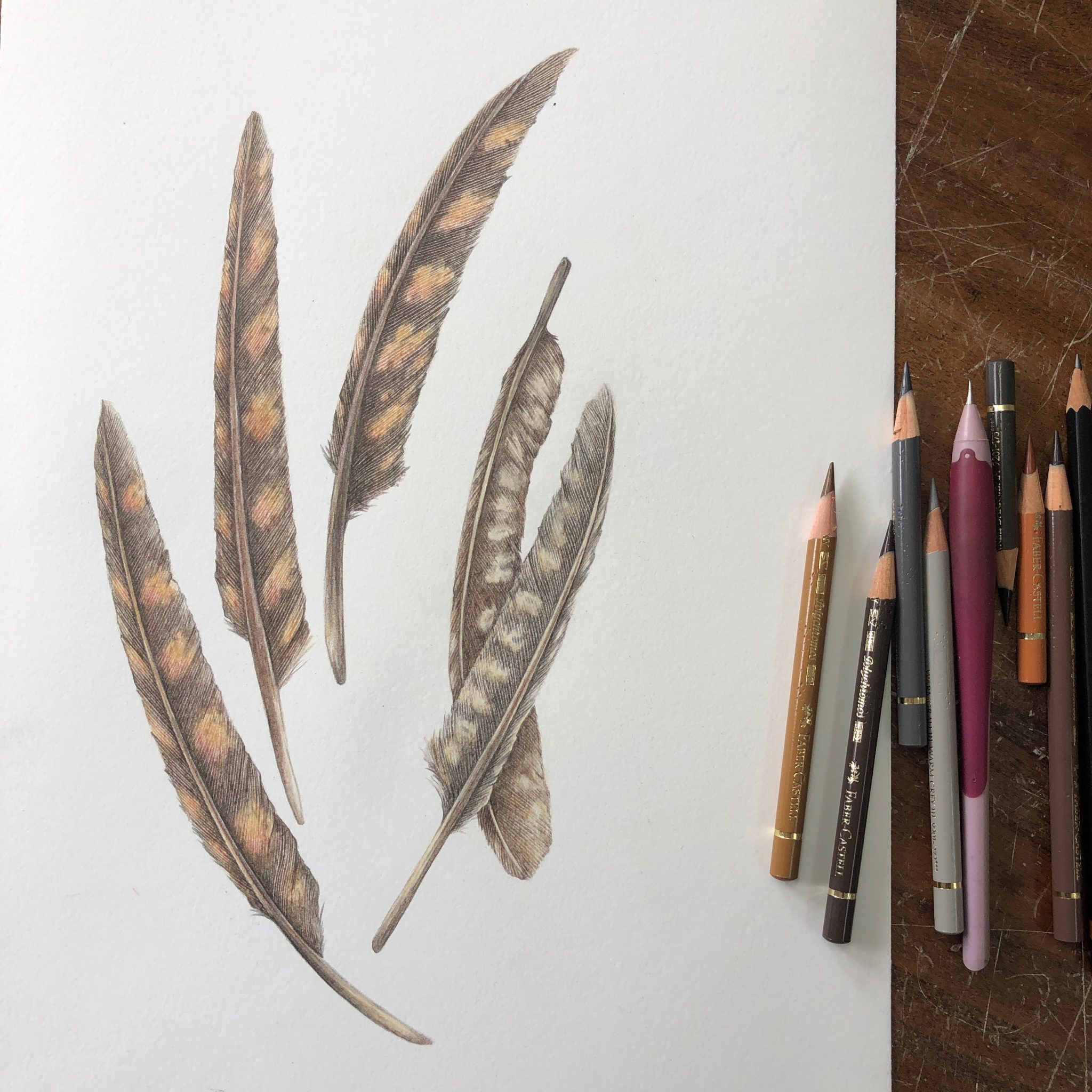 Class – Drawing Found Objects – Lyme Art Association
